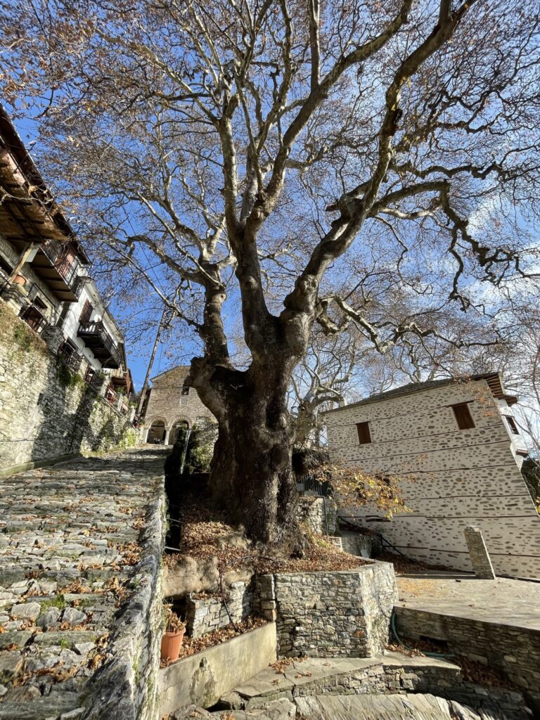 Visiting Volos, Greece on a Cruise Ship? Here's Everything You Need to ...