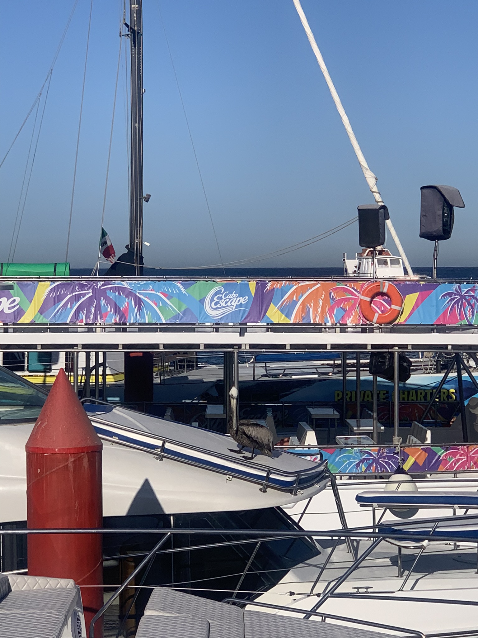 Dinner, Drinks, and Dancing on a Boat in Los Cabos - JV Wanderings